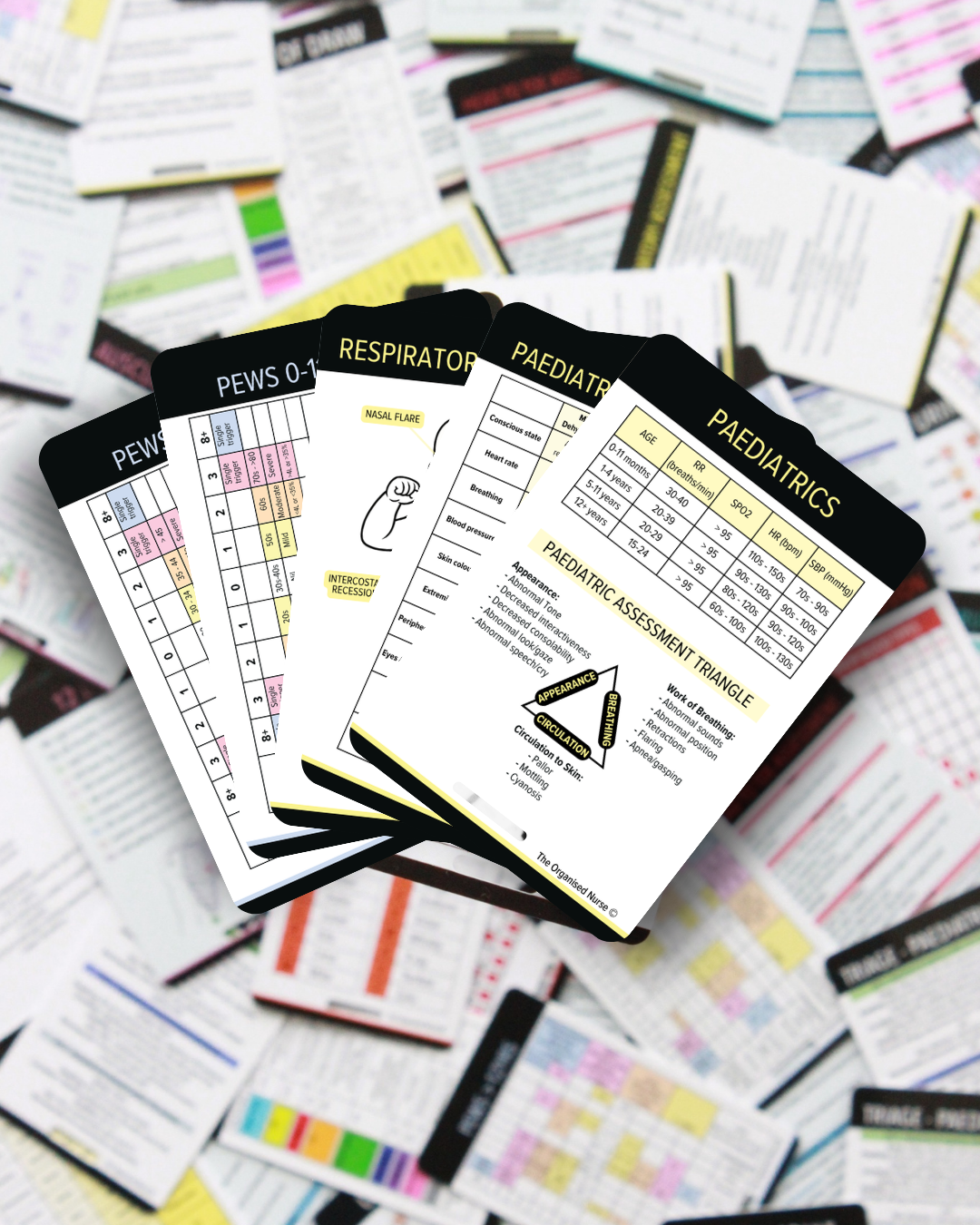 Paediatric Bundle – The Organised Nurse